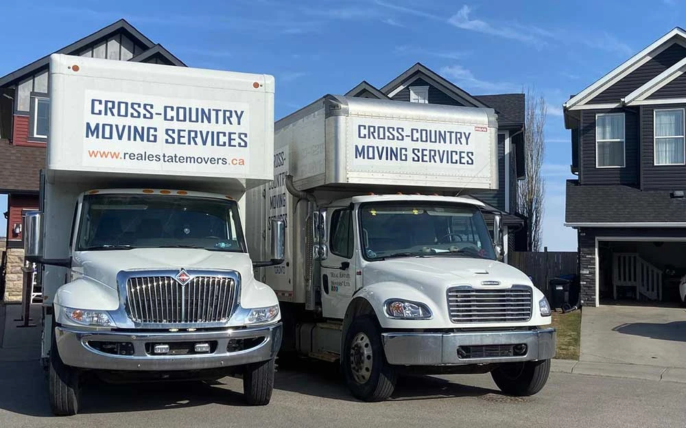 Why People Move to Toronto